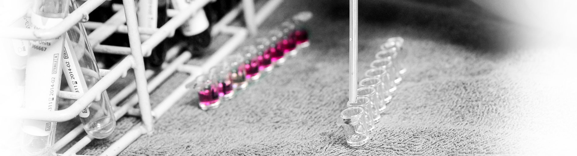 Swine Health Information Center